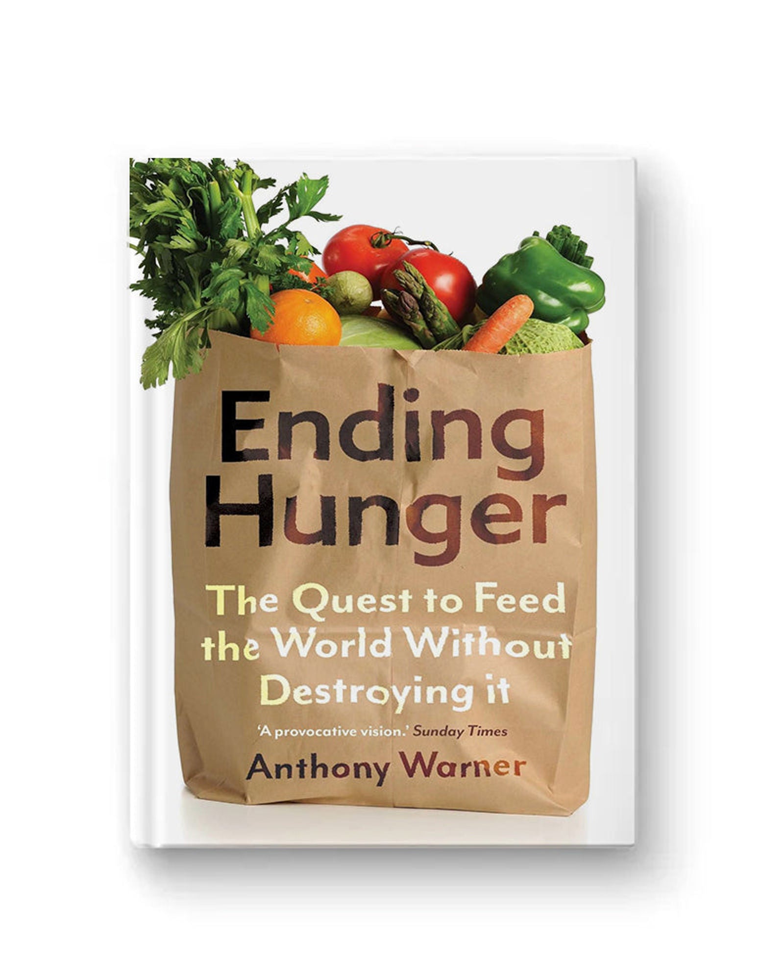 Buy Ending Hunger : The Quest To Feed The World Without Destroying It ...