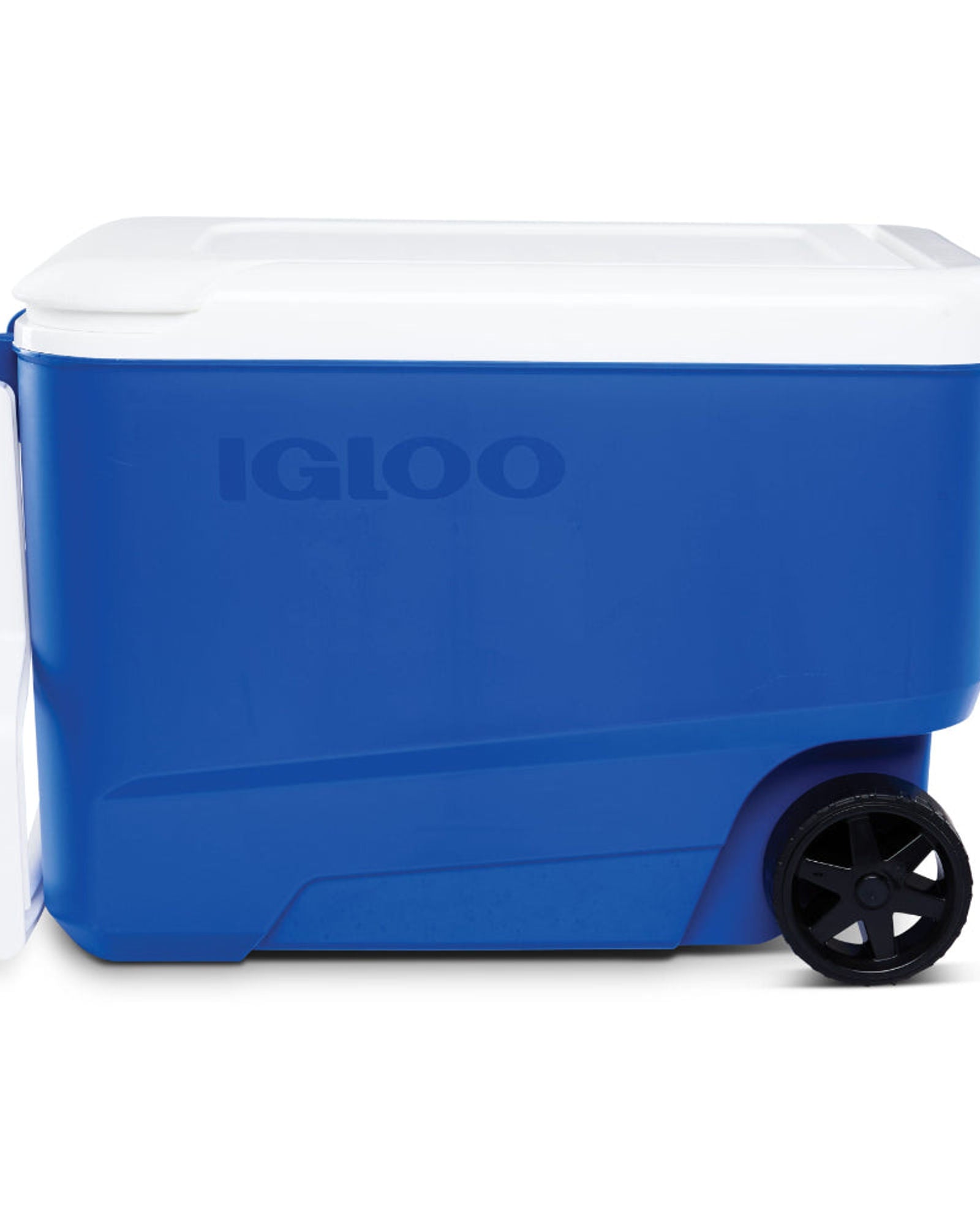Igloo-Wheelie Cool 38 Majestic Cooler Box - Blue – Jashanmal