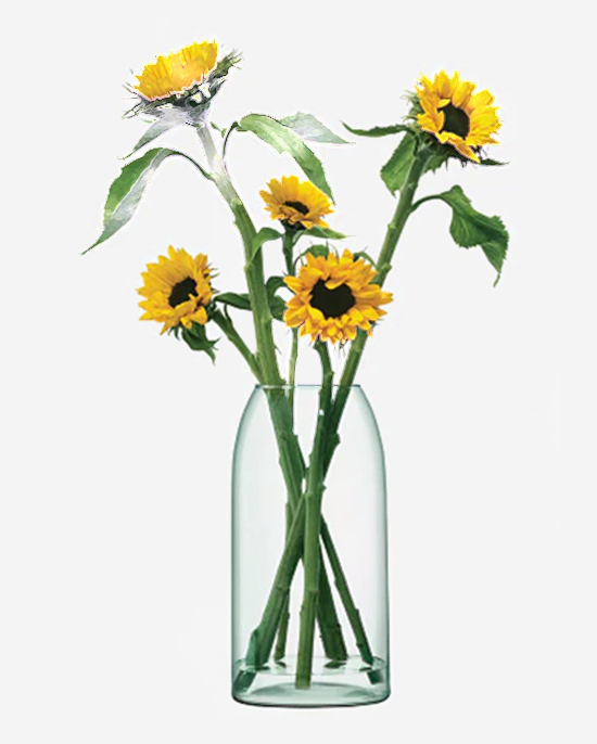 LSA Recycled Canopy Vase – Jashanmal