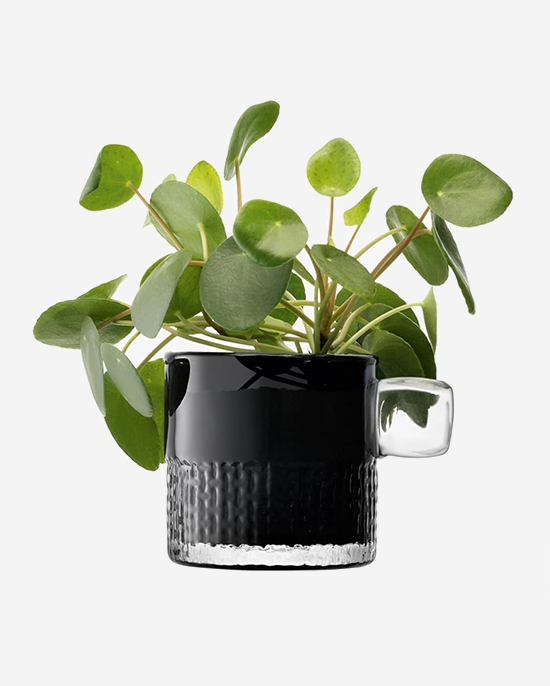 LSA Olive Handle Tealight Holder – Jashanmal