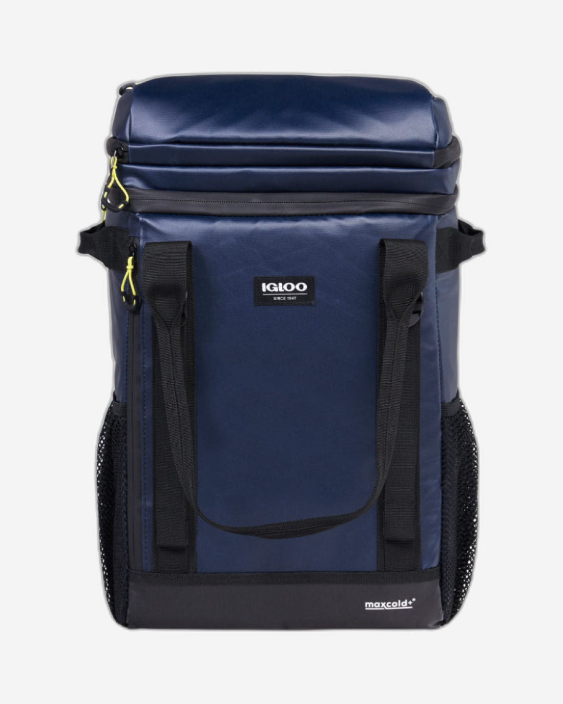 Igloo-Maxcold Ascent 24 Backpack - Blue/Black – Jashanmal