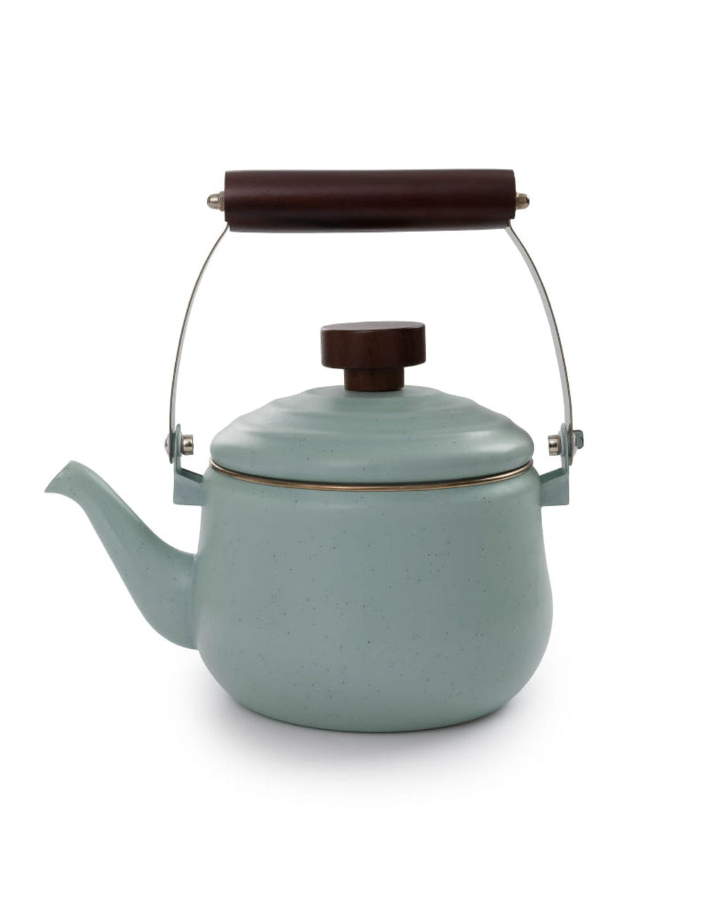 BareBones - Enamel Teapot Green